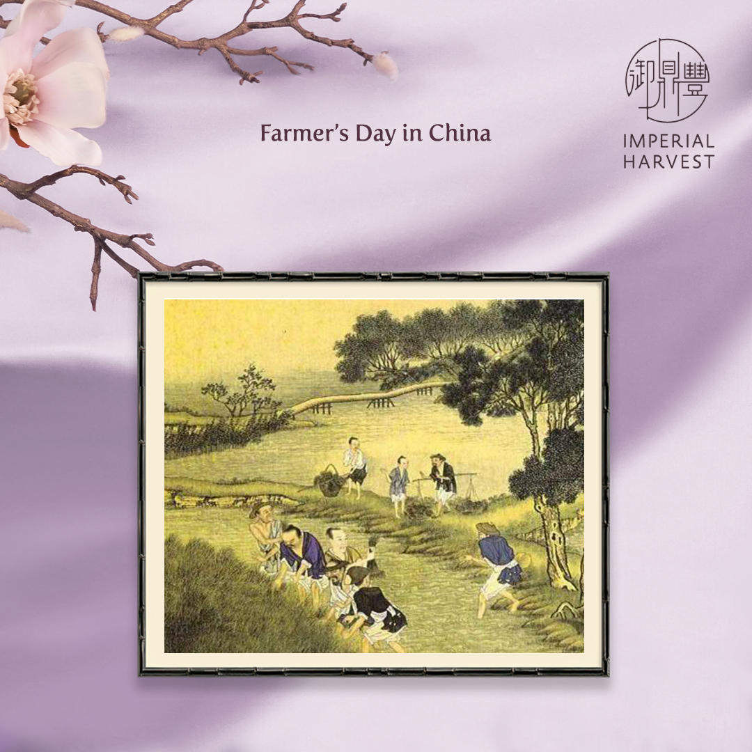 Significance of Li Chun - Imperial Harvest